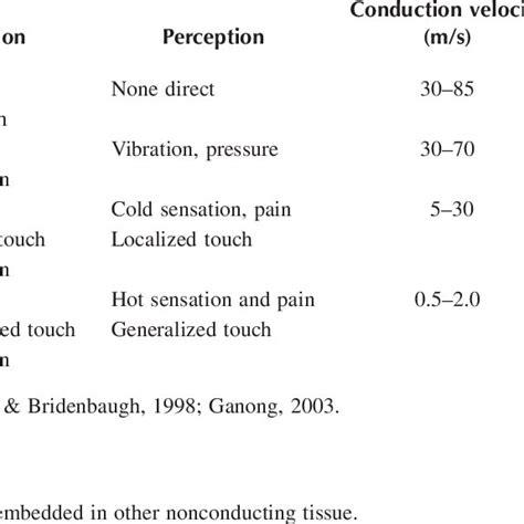 2 Peripheral Nerve Fiber Types Characteristics Download Table
