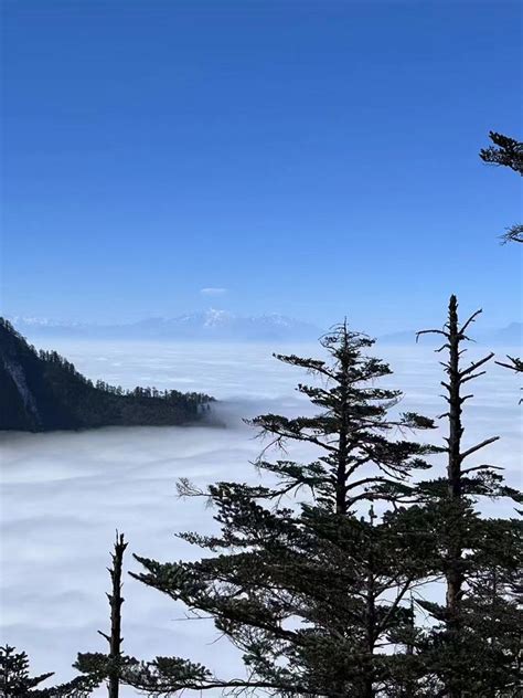 设计模式之过滤器模式 知乎
