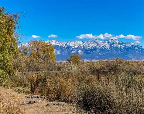 Alamosa Colorado Artofit