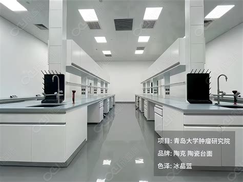 实验台 通风柜 实验室家具 青岛欣卓源实验室设备有限公司
