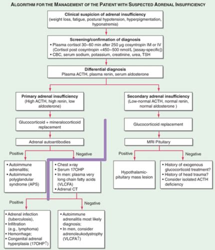 Adrenal Insufficiency Testing Flashcards Quizlet