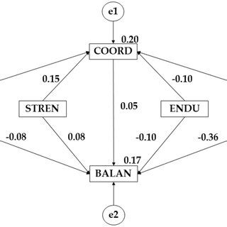 Effects Of Variables For The Male Sex Before Implementing The Download Scientific Diagram