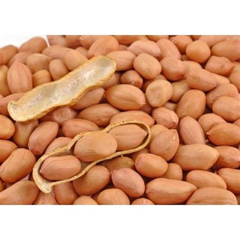 Peanuts Javaboldtj Supplier Packaging Size 5 Kg To 50 Kgjute And Pp Bags At Rs 155kg In