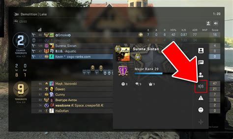 How To Mute Other Players In CS GO Quick Guide CSGO Ranks