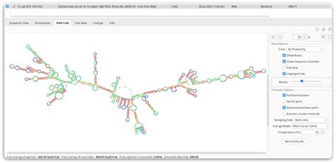 Rna Nucleotide Sequence