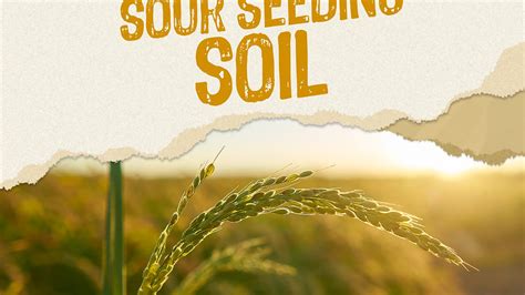 Sour Seeding Soil Sour Organic Soil