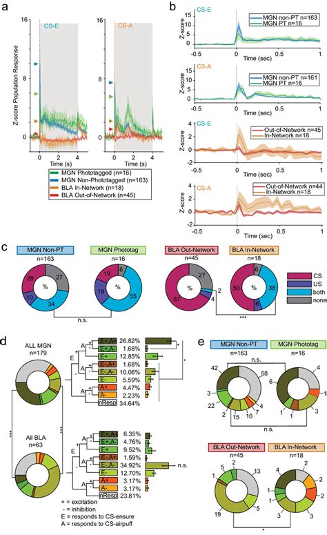 Bla Projecting Mgn Neurons Are More Likely To Encode Multimodal Stimuli