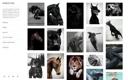 Zen Themes Free Tumblr Theme Codes Layouts