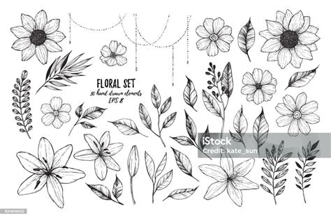 벡터 그림꽃 세트 30 손 그려진된 디자인 요소에 스케치 스타일 초대장 인사말 카드 문신 지문 등 완벽 한 꽃 식물에 대한 스톡 벡터 아트 및 기타 이미지 Istock