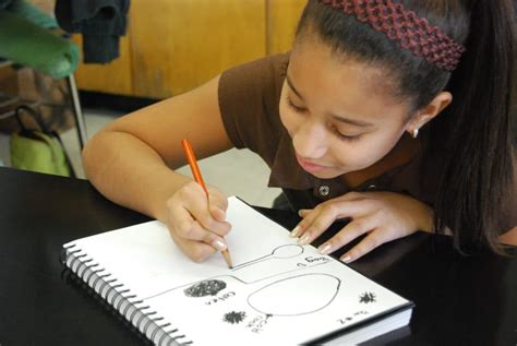 Free Online Drawing Classes For Beginners The Online Drawing Class