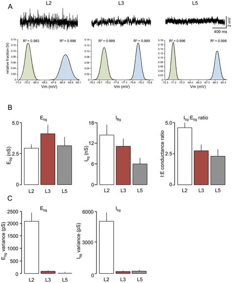 Simultaneous Vmd Estimations Of Excitatory And Inhibitory Background