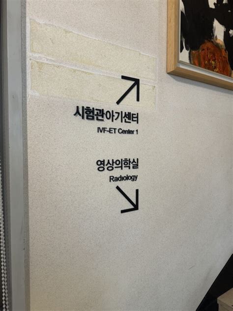 3 4 Ivf 시험관 3차 저자극요법으로 난자채취 Story Book 3 4 Ivf 시험관 3차 저자극요법으로 난자채취 Story Book