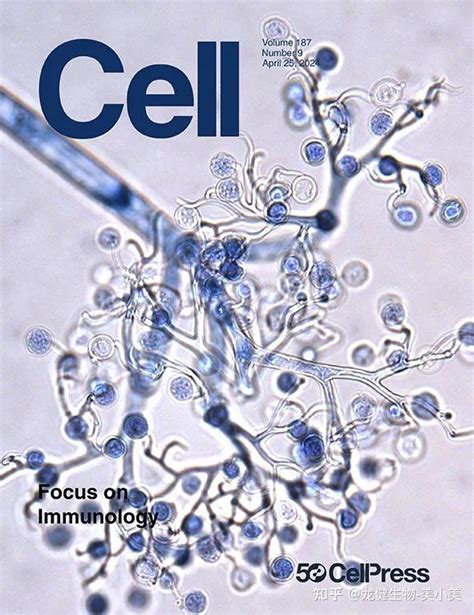 最新14篇《cell》杂志研究汇总：跨物种与免疫逃逸机制等 知乎