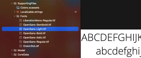 Ios Why Doesnt My Custom Font Work For Every Widget Instance Added To The Home Screen