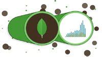 MongoDB In Nutshell Example Driven Quick Start In MongoDB Reviews