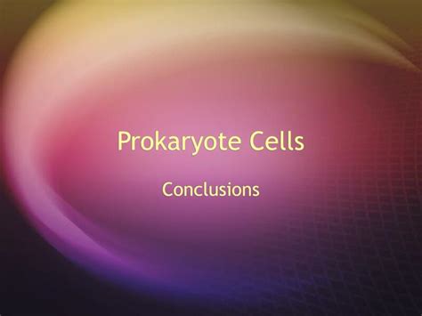 Ppt Prokaryote Cells Powerpoint Presentation Free Download Id 996187