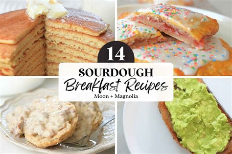 14 Sourdough Breakfast Recipes Moon Magnolia