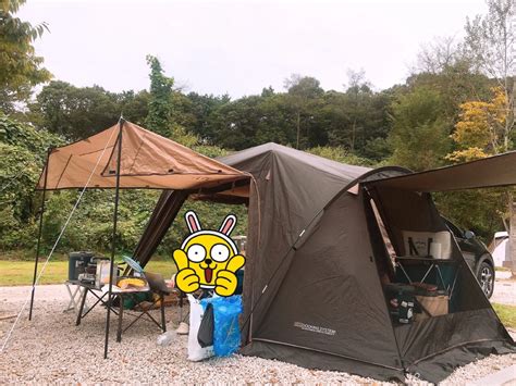 제드 오토듀얼팔레스 4 차박텐트 당근 중고거래