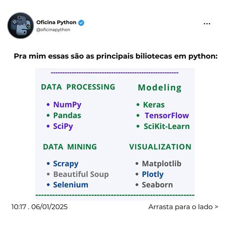 Oficina Python 🌐 Vou Nada 🤣 🤪 💻 Aprenda A Programar Em Python E