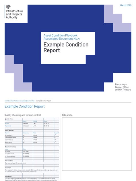 Example Condition Report Pdf