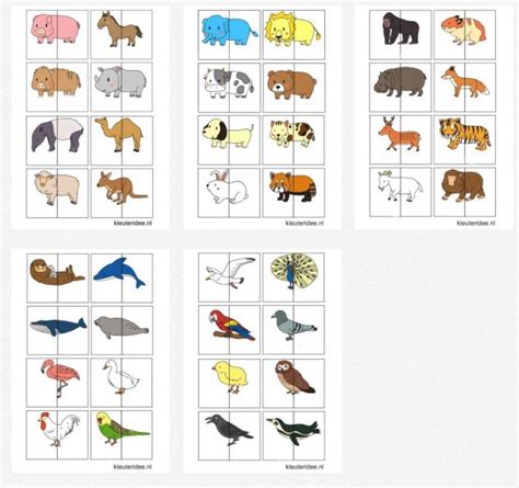 Пузле животиње Зелена учионица