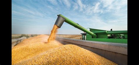 Замглавы МИД Вершинин В ООН признали что не могут обеспечить условия РФ по зерновой сделке