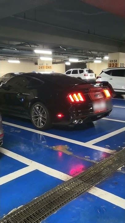 6세대 머스탱gt 원격시동 냉간시 배기음 미국젠쿱 Shorts Youtube