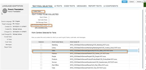 Howto Language Adaptation For Reports And Busine Sap Community