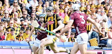 Leinster Senior Hurling Championship Final Kilkenny Vs Galway 11th