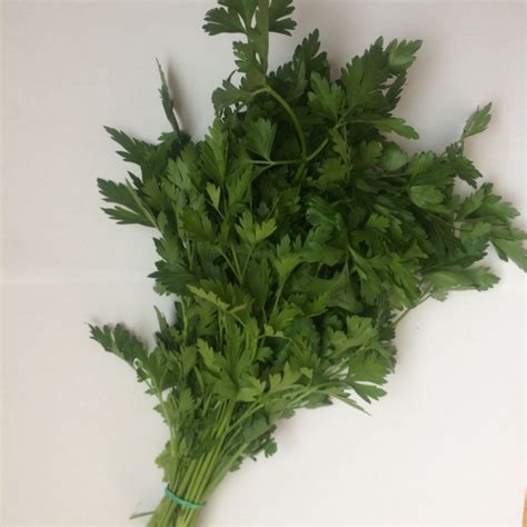 Продам Петрушку, купить петрушку, Запорожская обл — Agro-Ukraine
