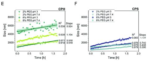 Polystyrene Particle Characterization The Functionalized Polystyrene