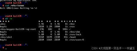 Kali系统开机显示黑屏，光标在闪动的解决方案——记一次kali系统启动问题的排查过程kali开机后黑屏卡住怎么解决 Csdn博客