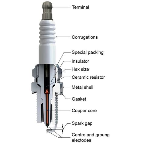 Spark Plug Cross Section Revealing Inner Workings