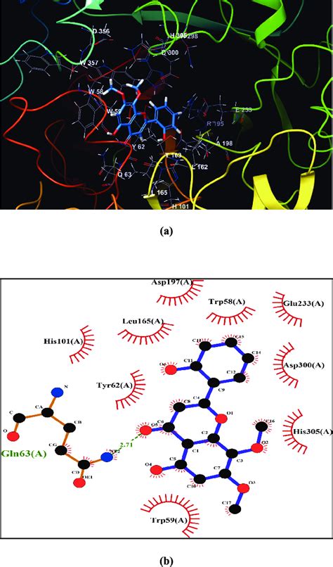 A The Modeling Pose Of Panicoline Among α Amylase Residues B The