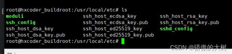 Openssh移植到linux开发板 Csdn博客