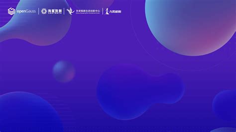 基于opengauss的海量数据库核心技术与落地案例 姚婷 海量数据 pdf 墨天轮文档
