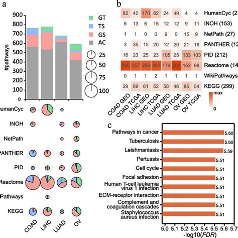 Ctpathway Accurately Identifies Well Known Cancer Risk Pathways A The