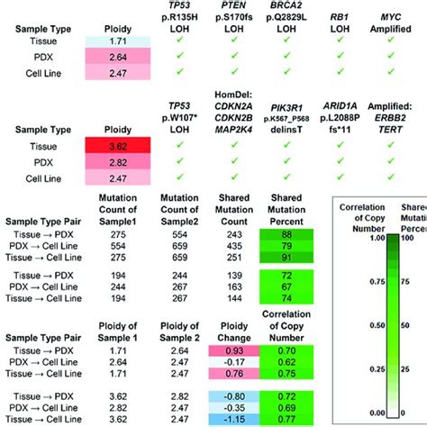 Exome Sequencing Reveals Several Patient Specific Cancer Driver Download Scientific Diagram