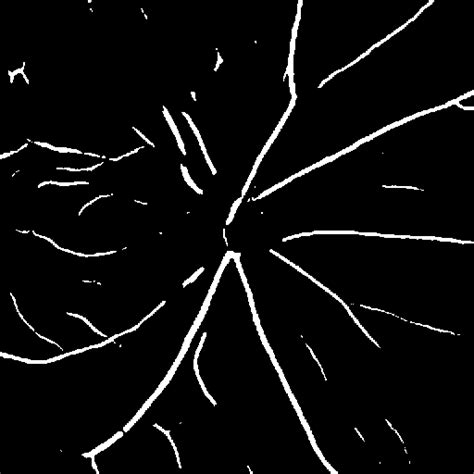 github foyie retinanet