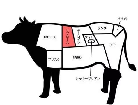 牛肉百科 世界顶级牛肉大全（全记录版） 知乎