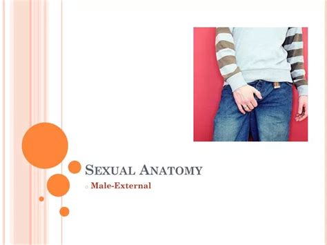 PPT Sexual Anatomy PowerPoint Presentation Free Download ID