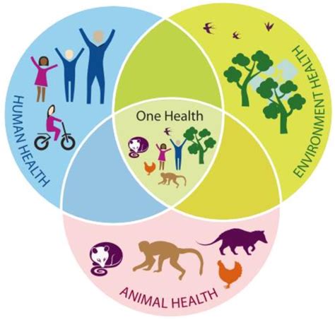 Visualisation Of An One Health Understanding Vi Appendix Taken From