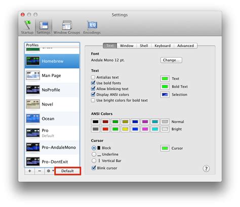 macos why does my terminal open with basic settings ask different