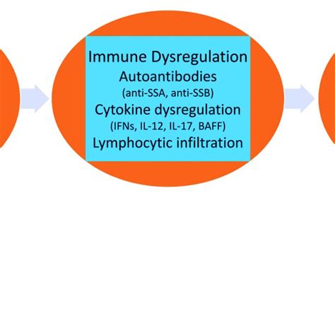 Ct Scan Of A 44 Year Old Female With Primary Sjögrens Syndrome