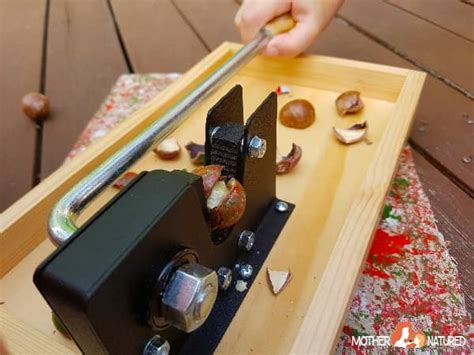 Macadamia Nut Crafts For Christmas Gifts Mother Natured