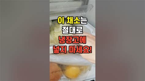 이 채소는 절대로 냉장고에 넣지 마세요 Youtube