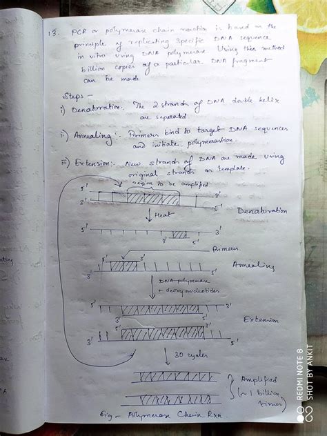 Are There Any Tools That Allow Users To Add Annotations And Notes Onto
