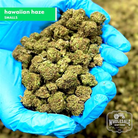 Hemp Flower Wholesale Hemp Farms