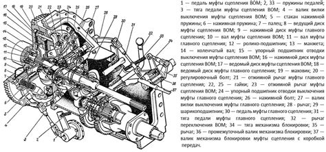 Регулировка сцепления Т 40, устройство и особенности ремонта