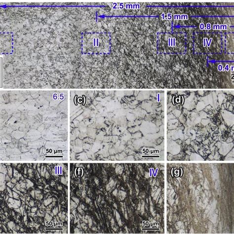 The Gradient Variations Of Microstructure In Mg 3al 1zn Alloy Under The Download Scientific